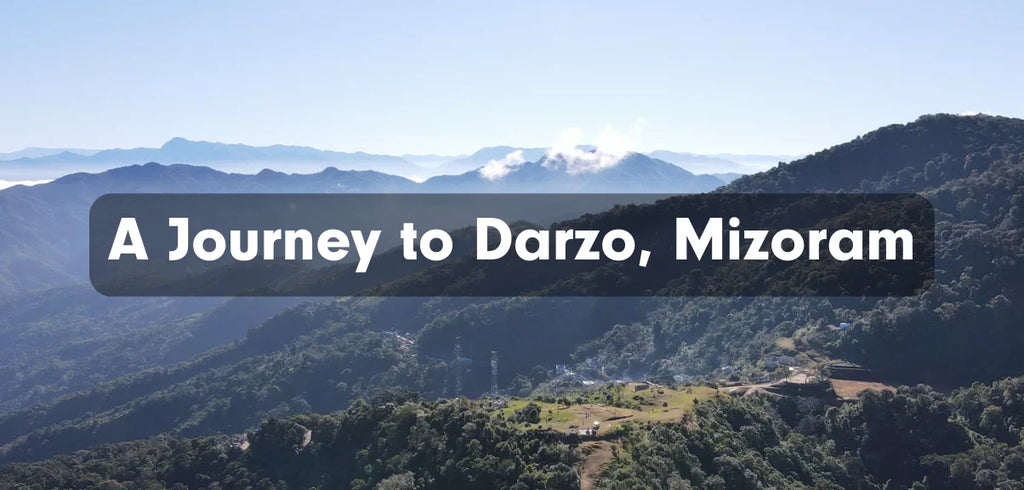 Exploring Northeast India's Coffee Treasures: A Journey to Darzo, Mizo ...