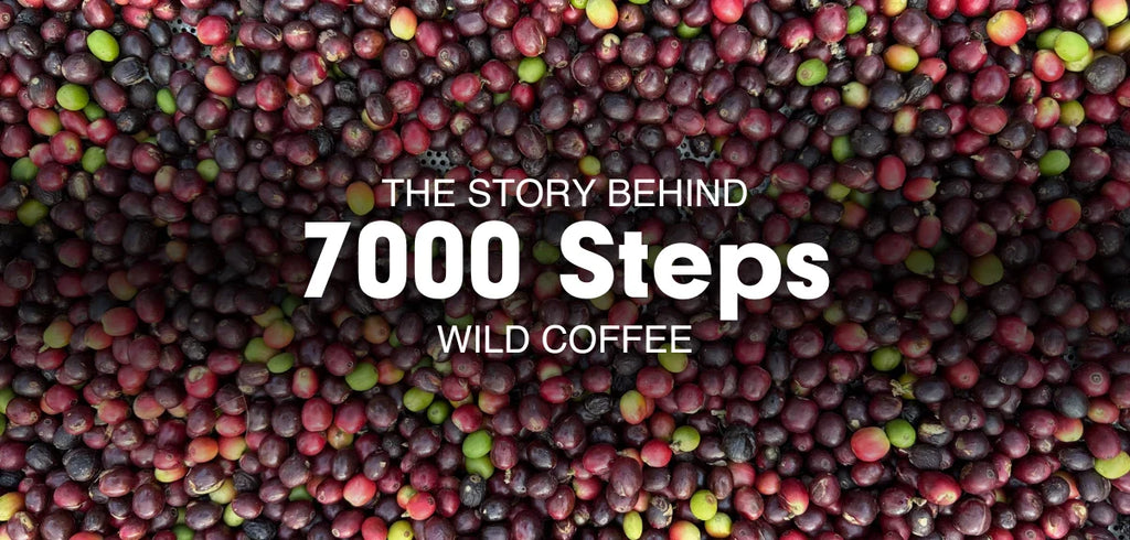 The Story Behind 7000 Steps's Wild Coffee – 7000steps