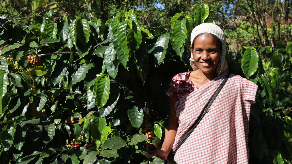 Producing the world's finest coffee from Meghalaya-myth or dream ...